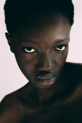 THE WOLVES MODEL MANAGEMENT - development