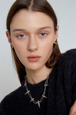 THE WOLVES MODEL MANAGEMENT - development